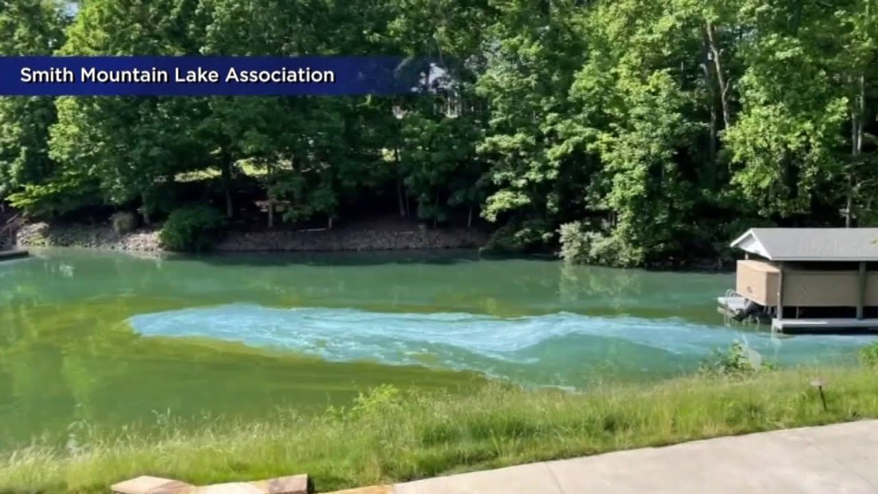 Research to prevent harmful algal blooms