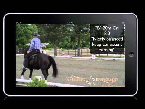 6/02/12 Western Dressage USEF Primary Test #2. What does (80.926) looks like?