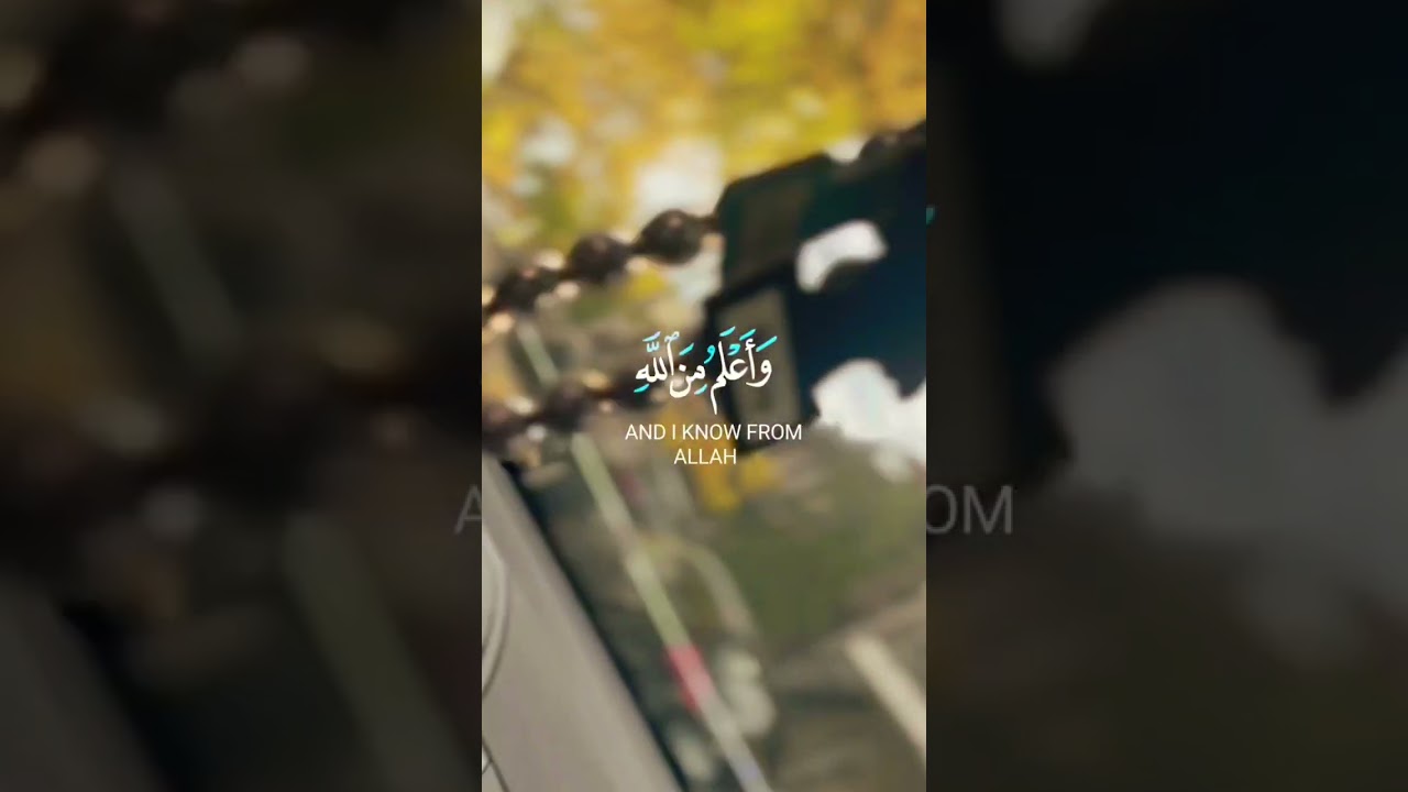 12 86 Surah Yusuf Sheik Islam Subhi