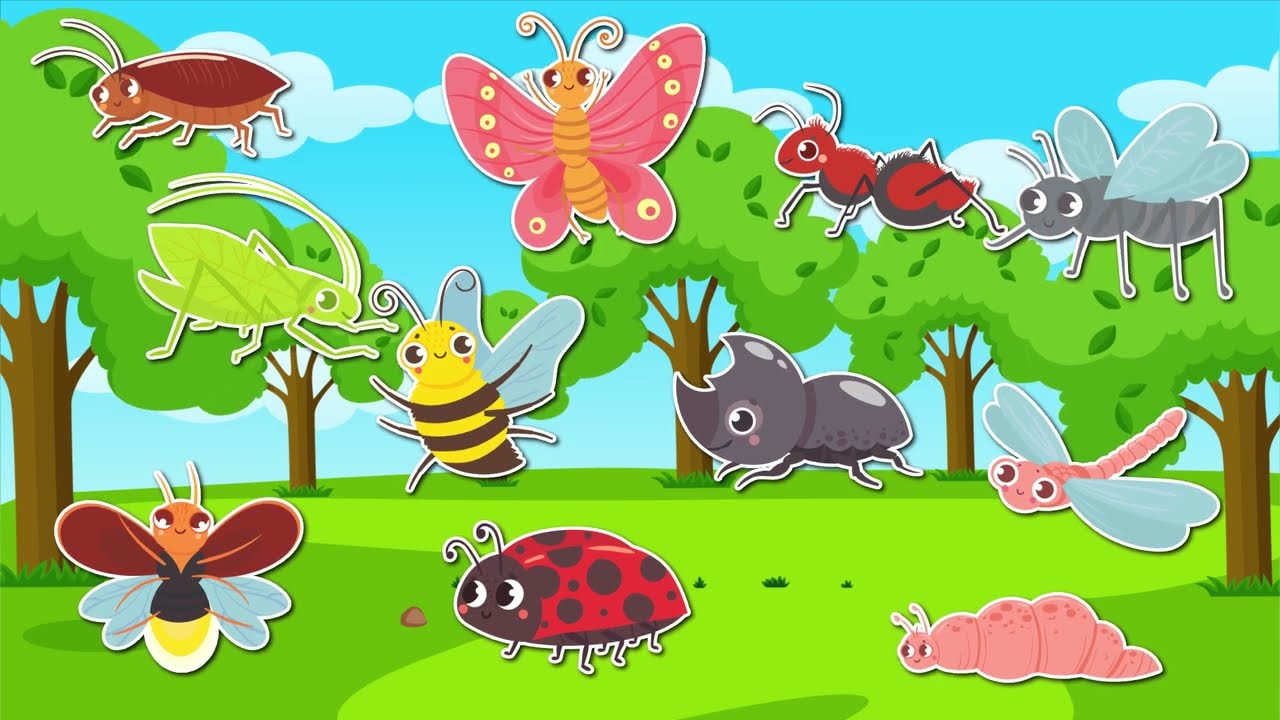 NOMS DES INSECTES Pour Enfants & Planète coloriage | learn insects names