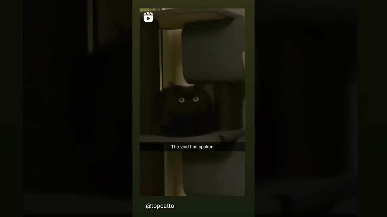 the void has spoken #funny #meme #tiktok #humor #funnymemes #catmeme #blackcat #void #spoken #meow