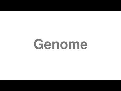 How to Pronounce "Genome"
