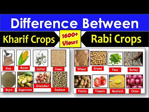 Difference Between Kharif And Rabi Crops @pardhaighar
