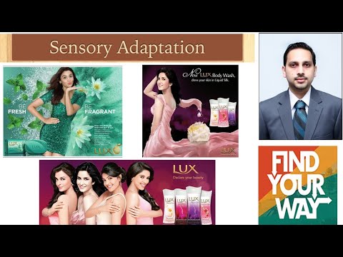 Sensory Adaptation - Consumer Behavior