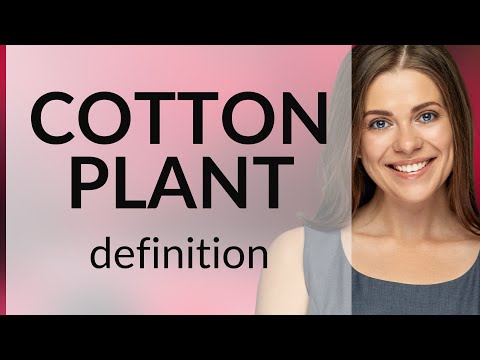 Cotton plant | what is COTTON PLANT meaning
