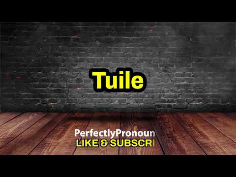 Tuile Pronunciation | How To Pronounce Tuile | ROOF TILE in French