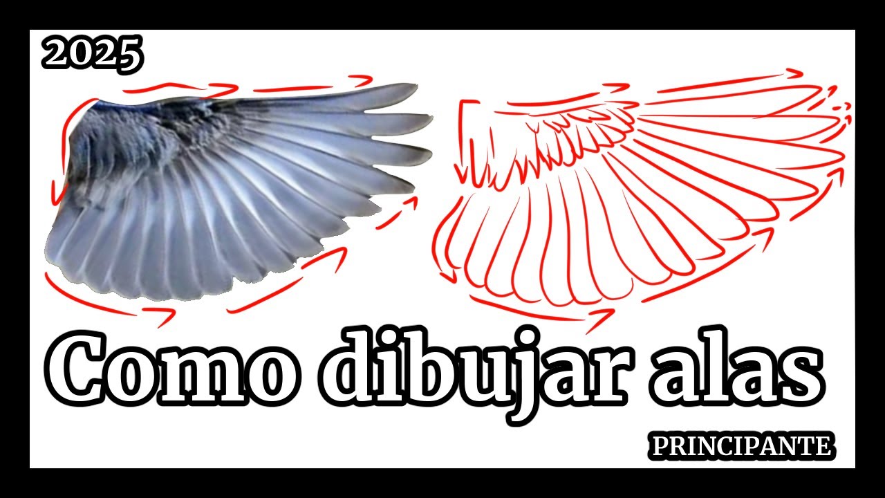 Como dibujar alas paso a paso