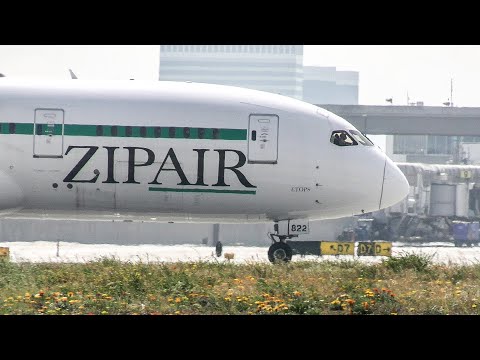 ZIPAIR Boeing 787-8 Dreamliner departing LAX to Tokyo JA822J | plane spotting LAX