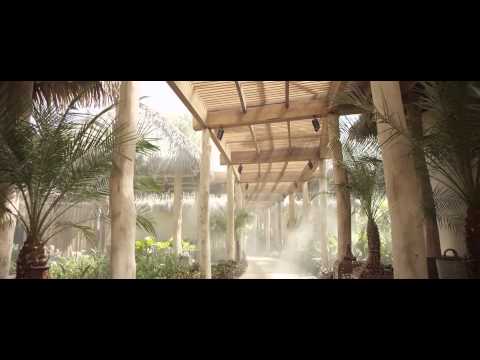 Vida Vacations: Discover Your Happiness: Discover Vidanta Nuevo Vallarta