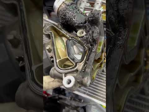 BMW Oil filter housing gasket