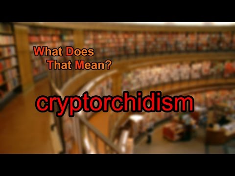 What does cryptorchidism mean?