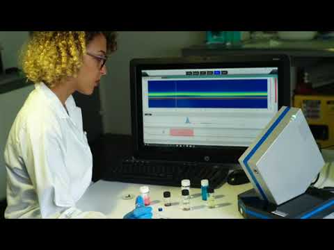 Molecular weight calculation of nanoparticles using Nanokin Software