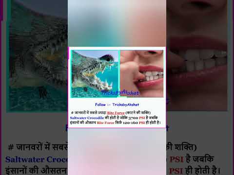 #3 Trick Most Biteπ± force power πͺπͺπͺ...#saltwatercrocodile#humans#psi#animals#trending #viral