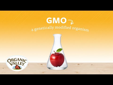 Is USDA organic always non-GMO? | Ask Organic Valley