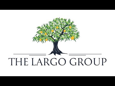 Understanding your Profit & Loss Statement