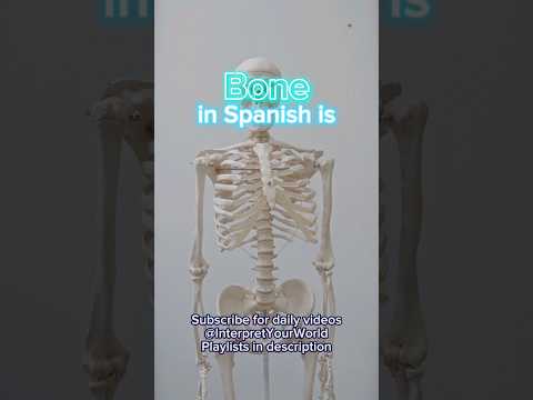 BONE in SPANISH | Excel in Medical Consecutive Interpretation