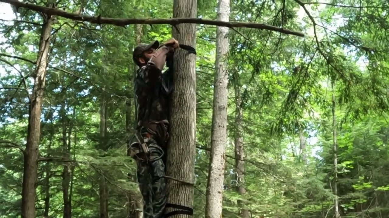 Any Tree Outdoors- Tree Straps Instructional Video