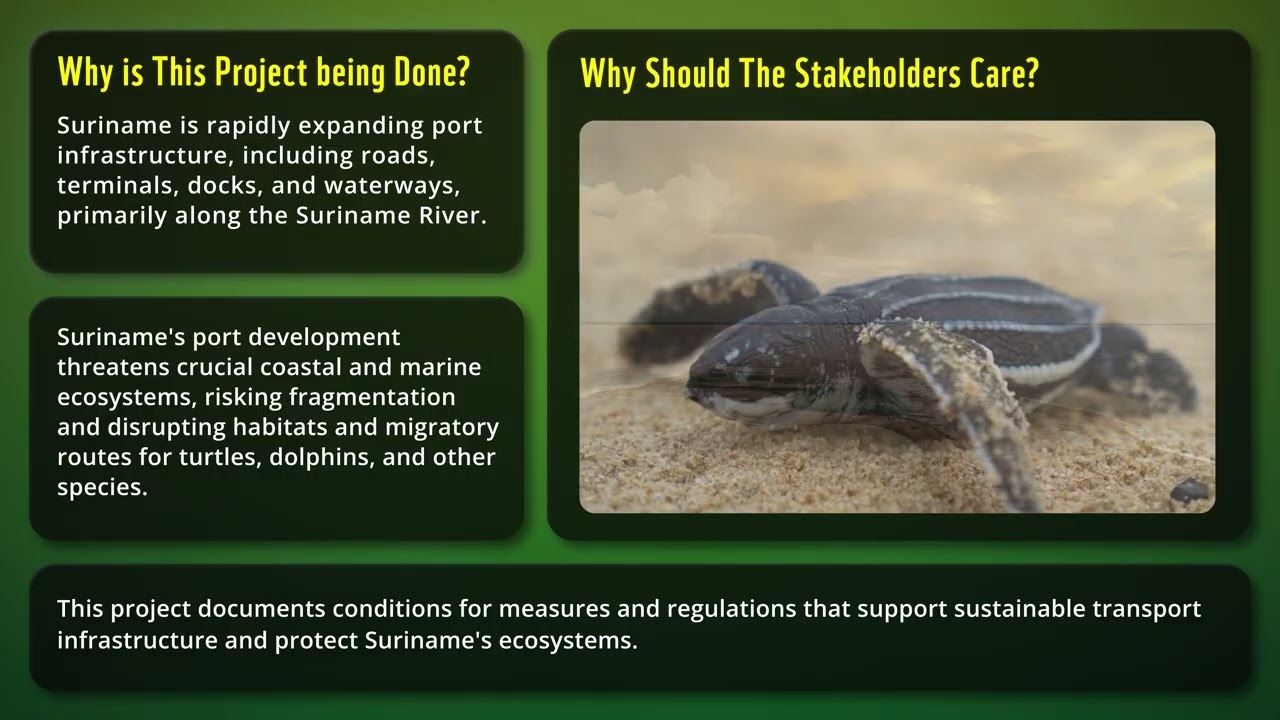 GRID Suriname - What is the GRID project
