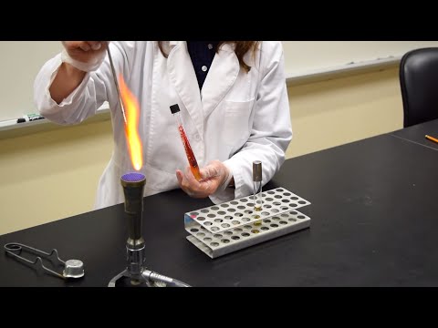 How To Inoculate A Broth - MCCC Microbiology