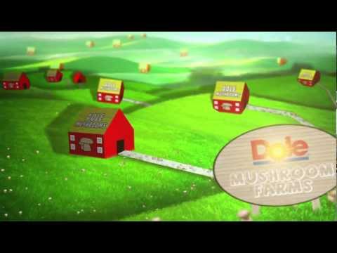 Vitamin D Powder