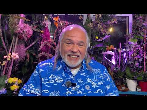 “Trump’s in Charge” – KTFA Frank26 Video Update 12-21-25 | Dinar Chronicles