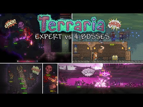 Steam Community :: Video :: Terraria EXPERT Helps Me Take On 4 Bosses