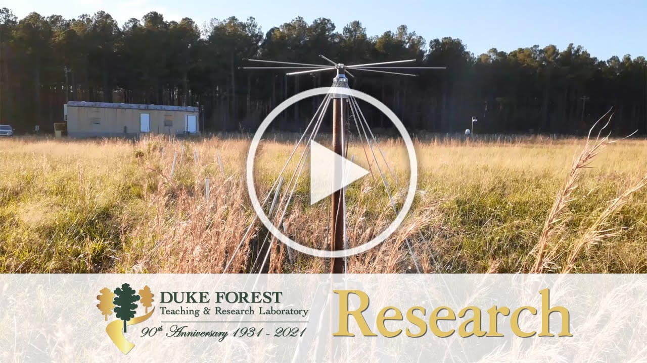 Mission Highlight: Research