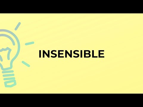 What is the meaning of the word INSENSIBLE?