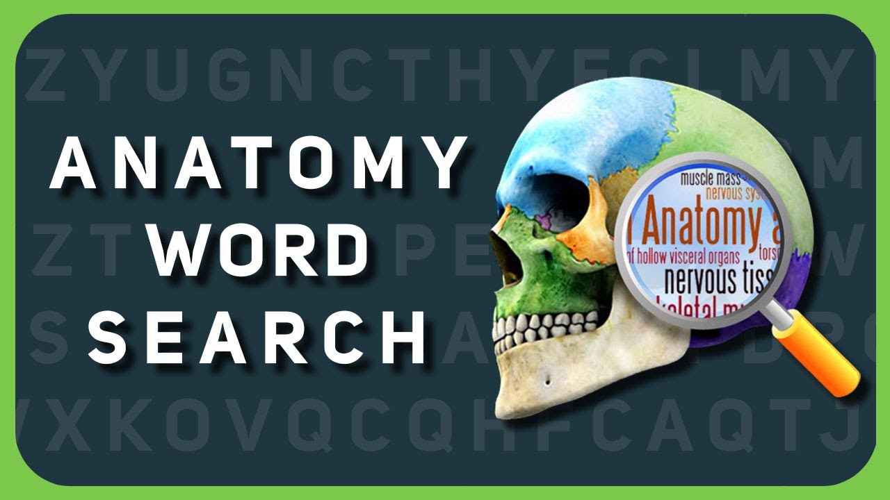 Human Anatomy Word Search Puzzle Game App Download for iOS & iPad