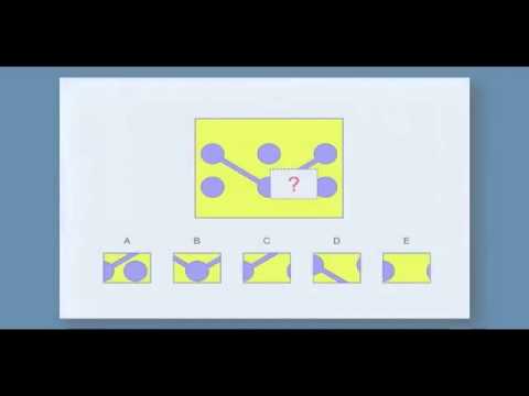 Raven's Standard Progressive Matrices™