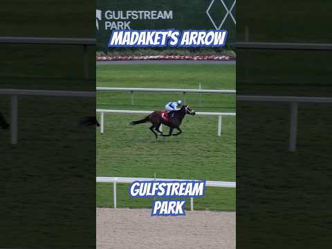 Madaket's Arrow leads the 1-2 for trainer George Weaver in the 5th race at #GulfstreamPark.