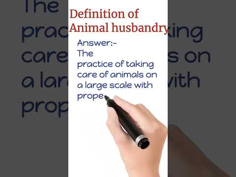 Definition of animal husbandry