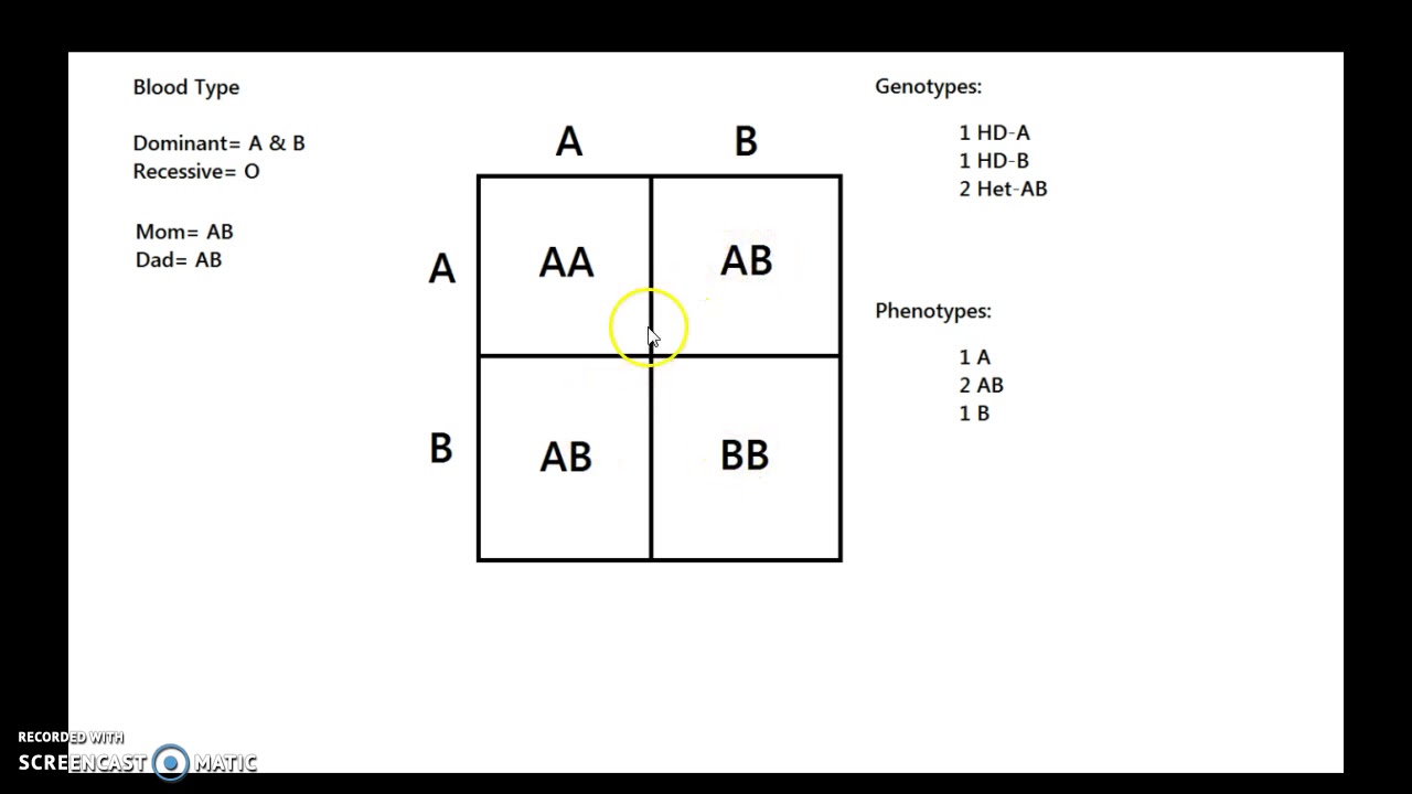 Genetics Notes #2 & Worksheet 3