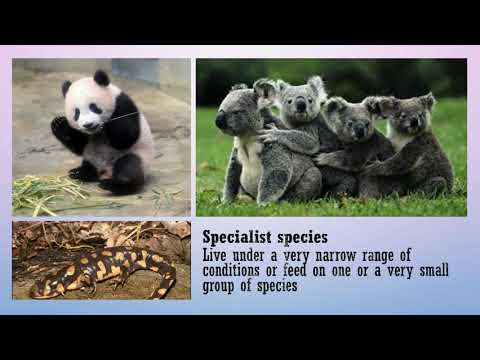 Unit 3.1 Generalist and Specialist Species