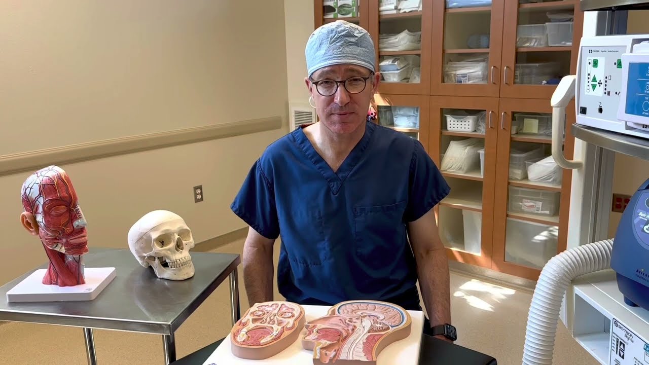 Rhinoplasty Anatomy