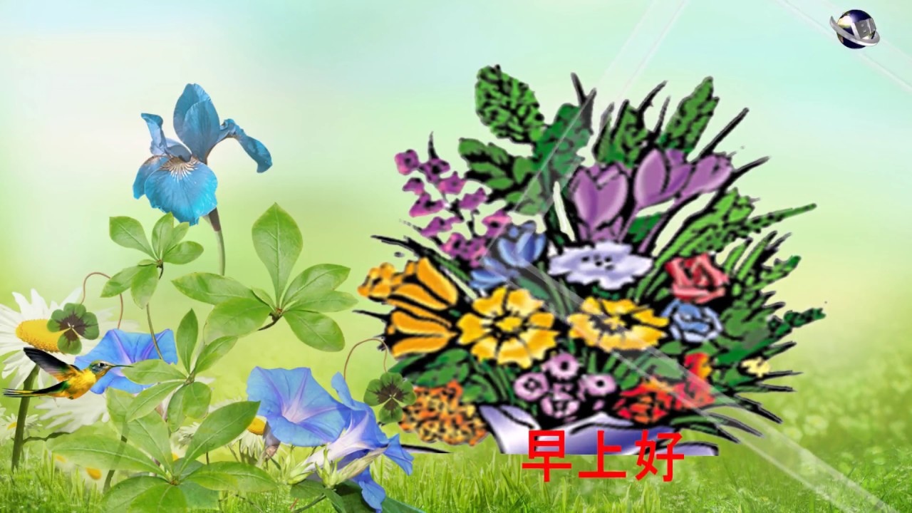 Good Morning Wishes..  whatsaap video Chinese (Simplified)