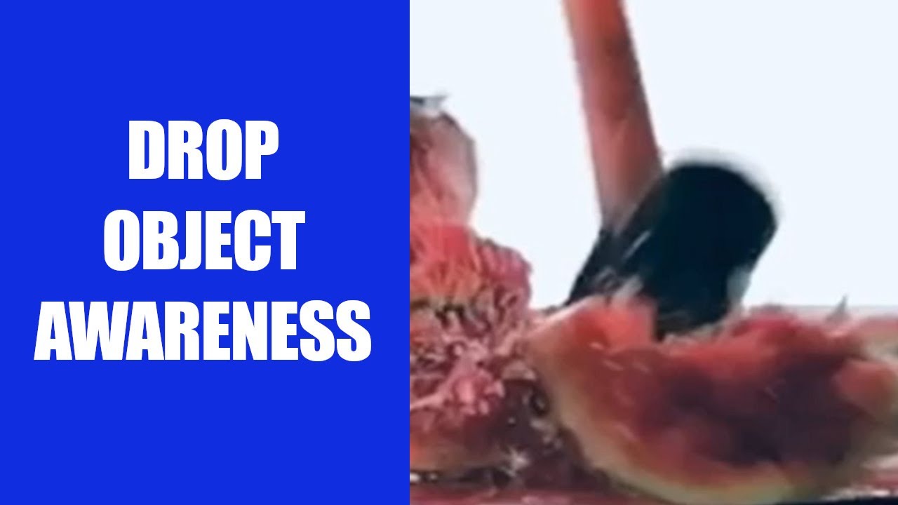 Drop Object Awareness