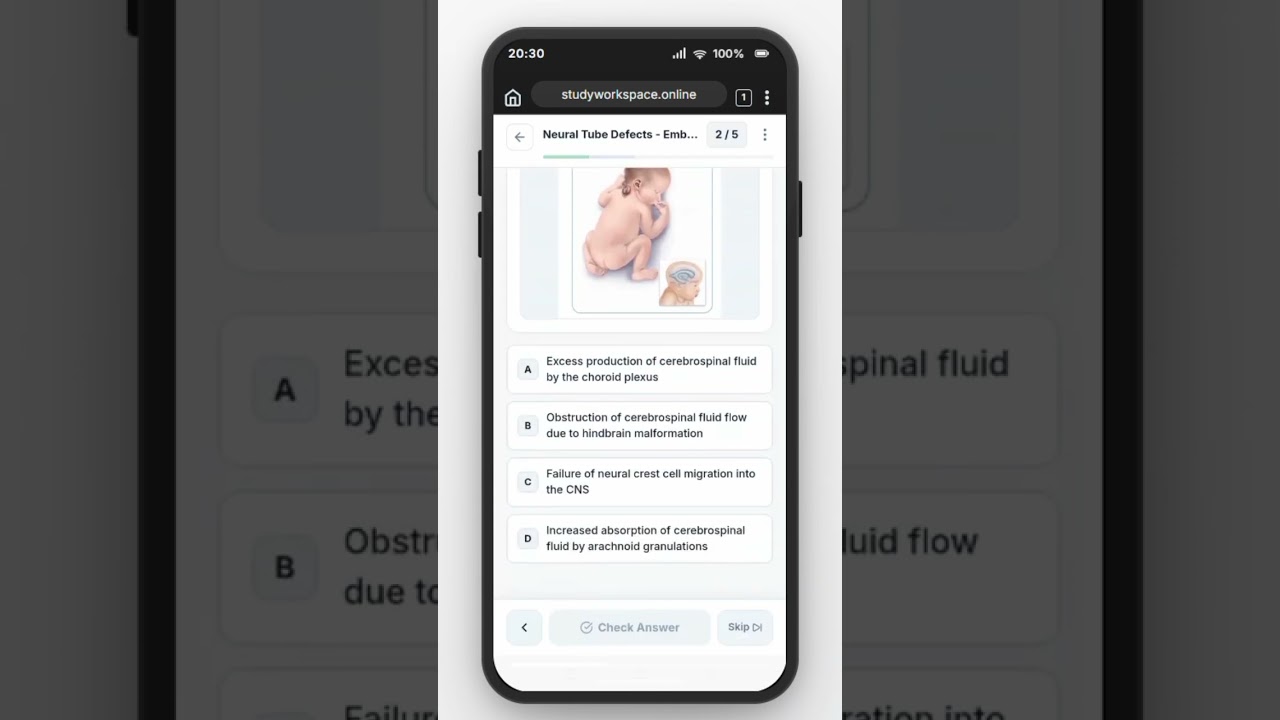 Embryology Revision Using Study Workspace | Turn Your Notes Into Practice Questions
