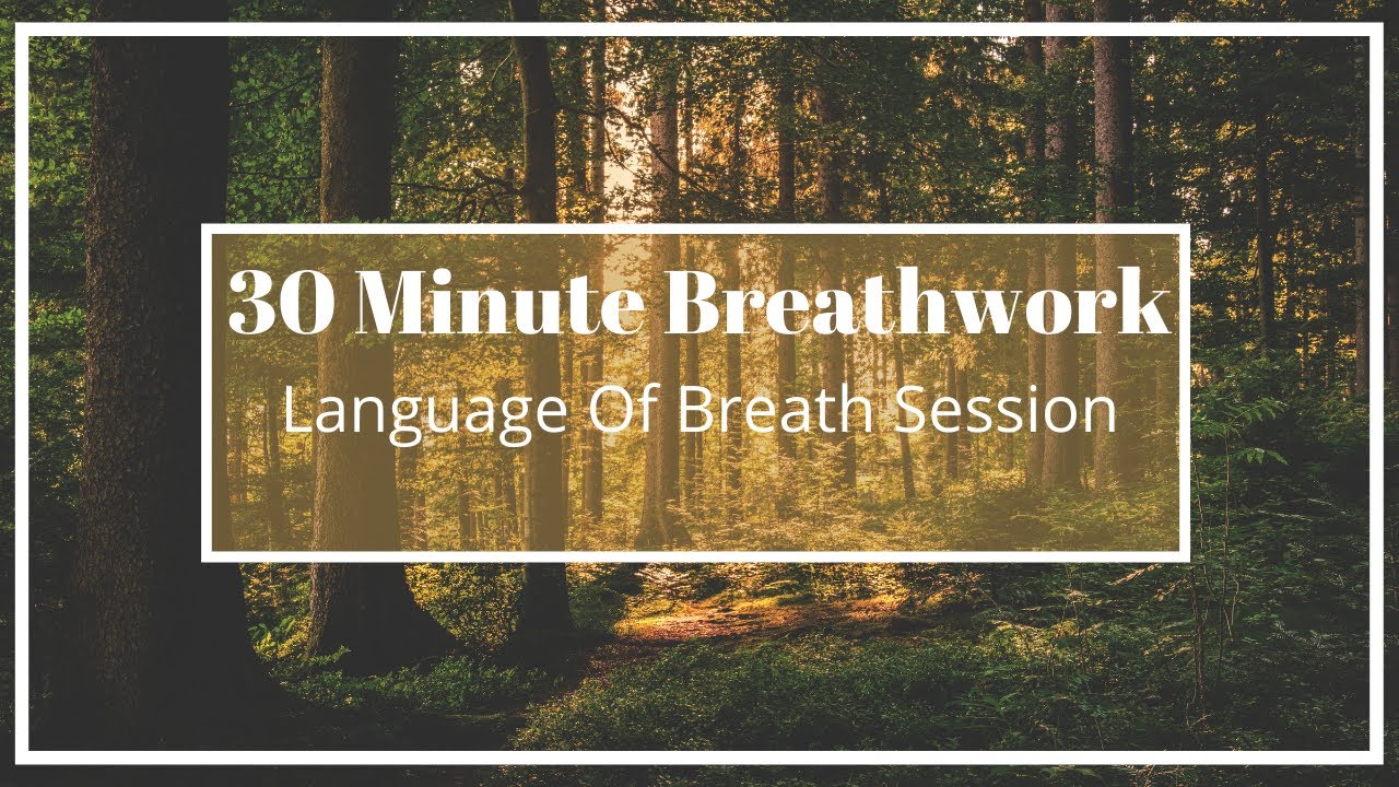 Guided Breathwork | 30 Minute Session
