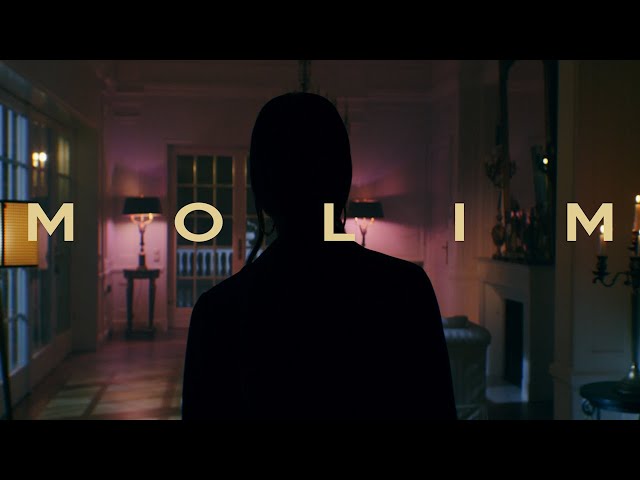 Hava & Dardan High offizielles Video, Download