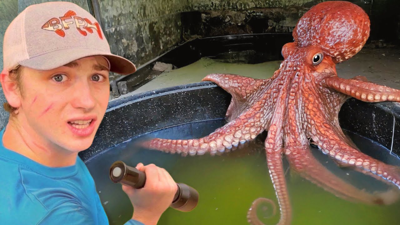 I Found Mysterious Fish Living in an Abandoned Pond!