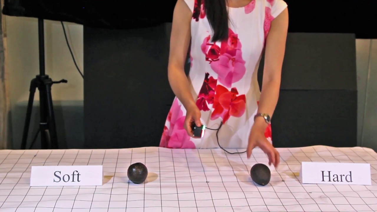 Measuring hardness of fruits with GelSight sensor