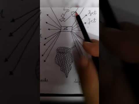 Three letter words ending with "et"