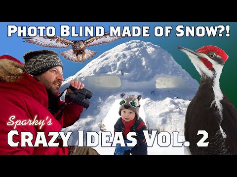 Bird Photography from a Snow Blind/Hide: Ancient Skills for a Modern ...