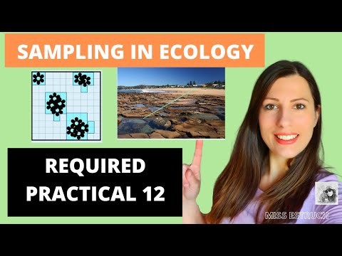 How to Sample in Ecology: Accurately represent the population size REQUIRED PRACTICAL 12.