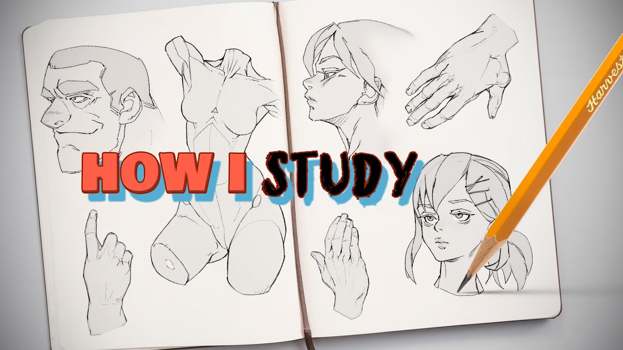 🎓 HOW I STUDY DRAWING