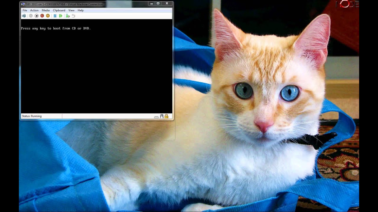 Microsoft SBS 2011 installation tutorial