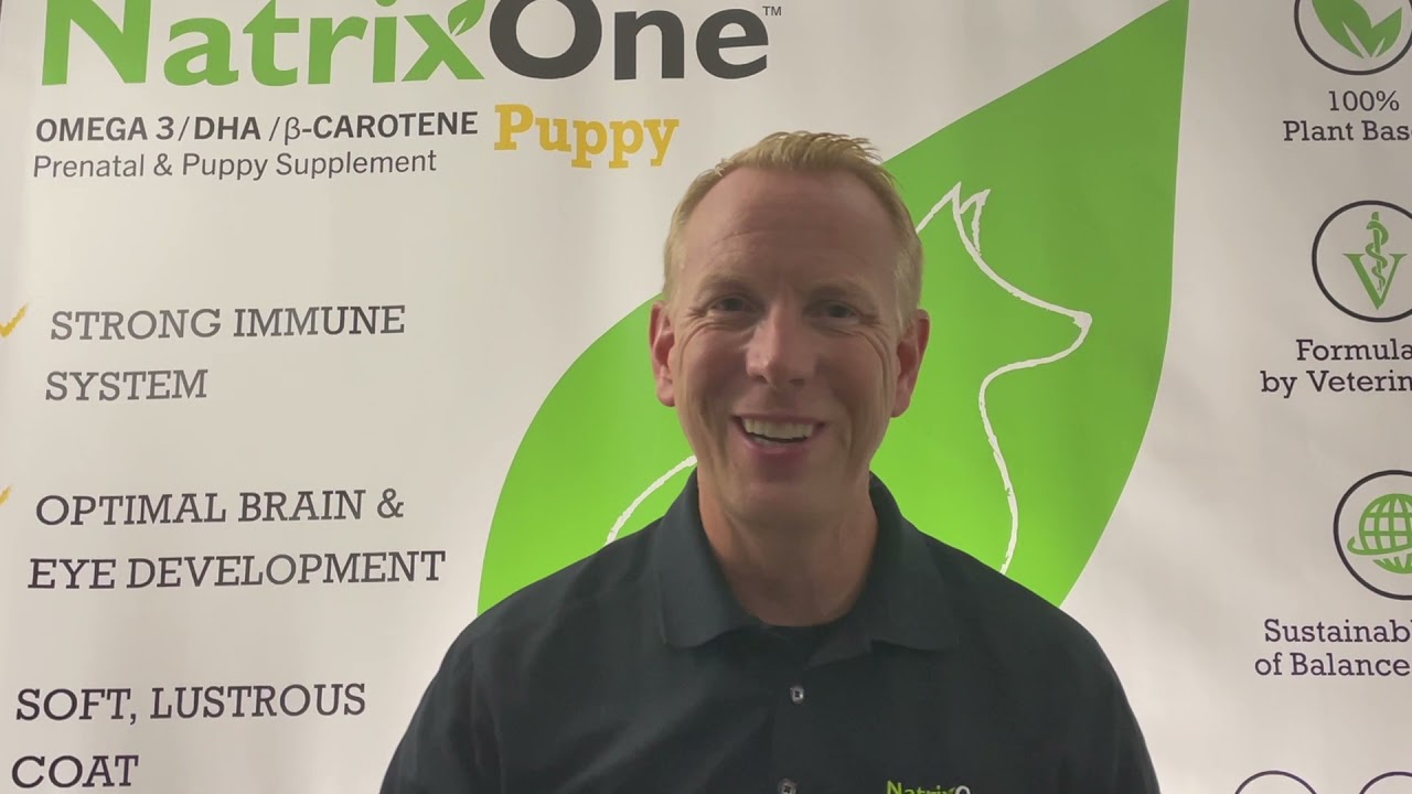 How NatrixOne Puppy With DHA will Benefit your developing Pup