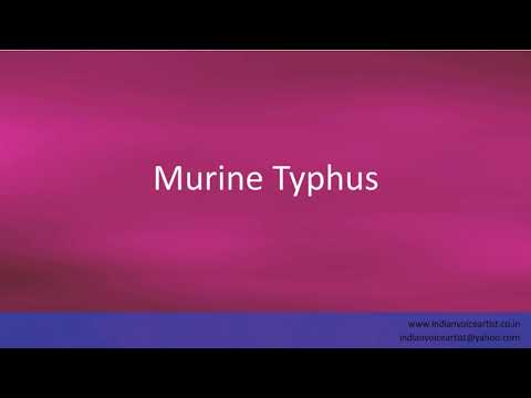 Pronunciation of the word(s) "Murine Typhus".