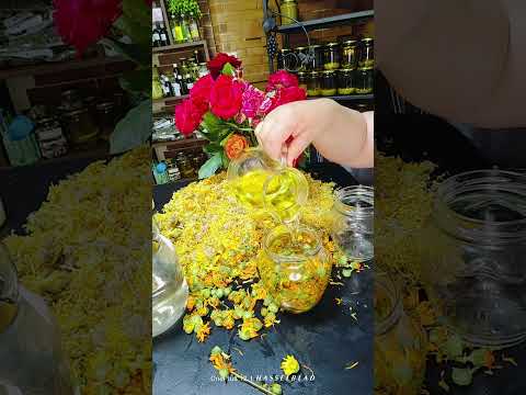 Puterea florilor și galbinele sau calendula. Au mii de benificii asupra organismului.